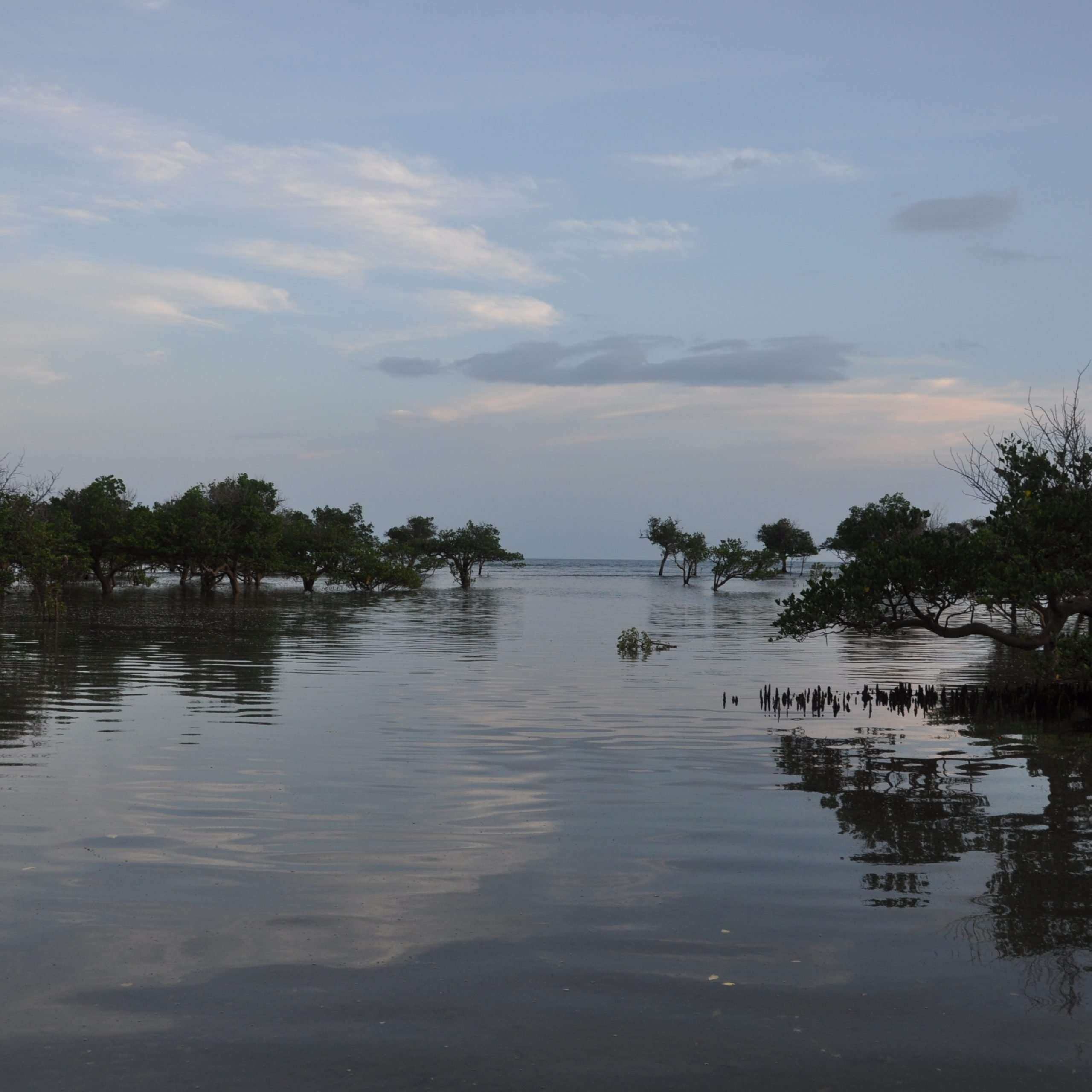 Your romantic trip from Pangani to Ushongo - Heart Of Africa Expedition